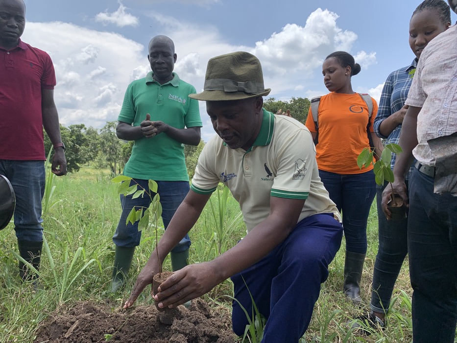 Nature Uganda – Promoting the understanding, appreciation and ...